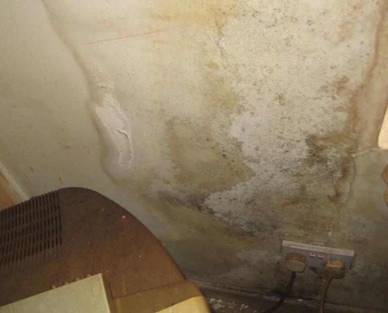 Trade body calls for mould and damp rental property awareness campaign ...